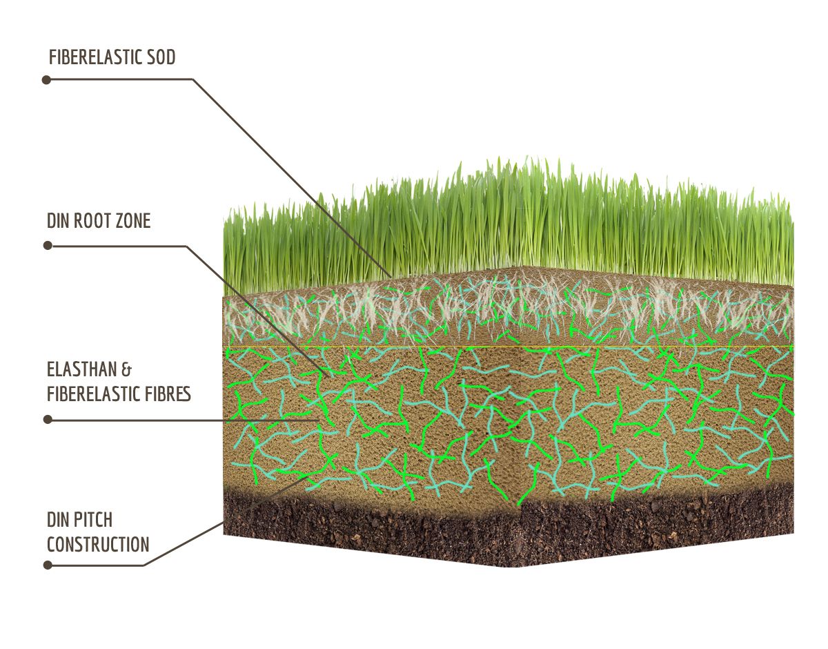 Fiberelastic | EUROSPORTSTURF